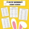 83 VCCV Words: 2-Syllable Rabbit Words List - Literacy Learn