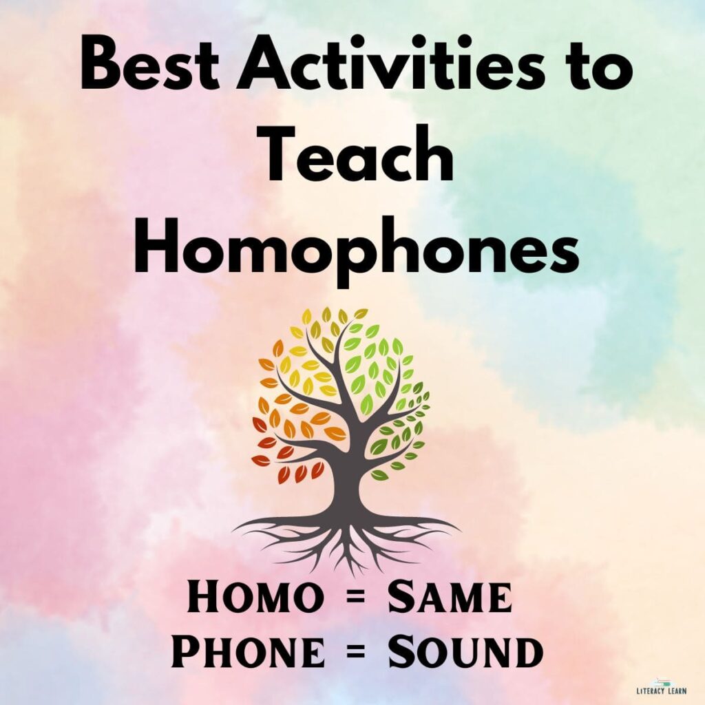 Best Activities to Teach Homophones - Literacy Learn