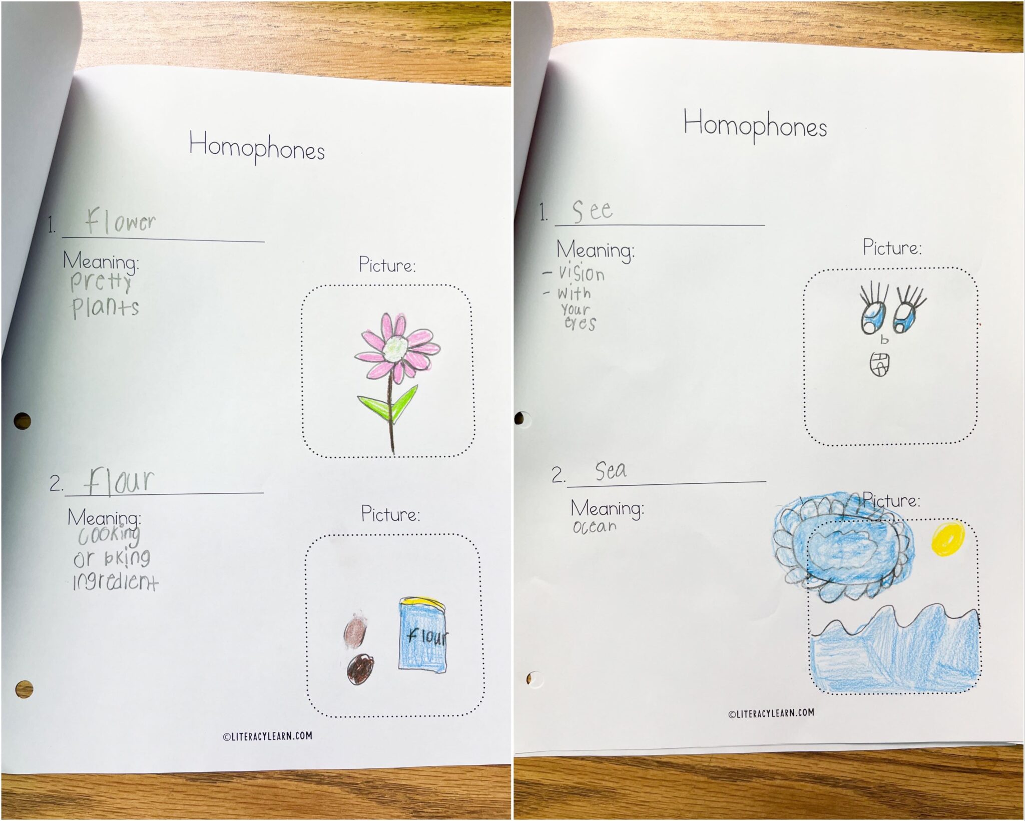 Free Homophone Worksheets for Teaching Homophones - Literacy Learn