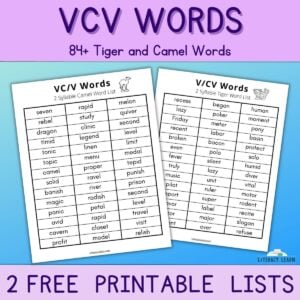 84 VCV Words & Word Lists: Free Printables - Literacy Learn
