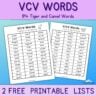 84 VCV Words & Word Lists: Free Printables - Literacy Learn