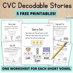 Free CVC Word Decodable Stories for Reading & Spelling - Literacy Learn