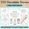 Free CVC Word Decodable Stories for Reading & Spelling - Literacy Learn