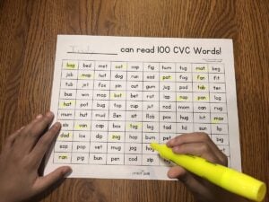 100 Free Printable CVC Words Chart & Cards - Literacy Learn
