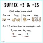 All About Suffix -S and -ES: Plus Free Worksheet! - Literacy Learn