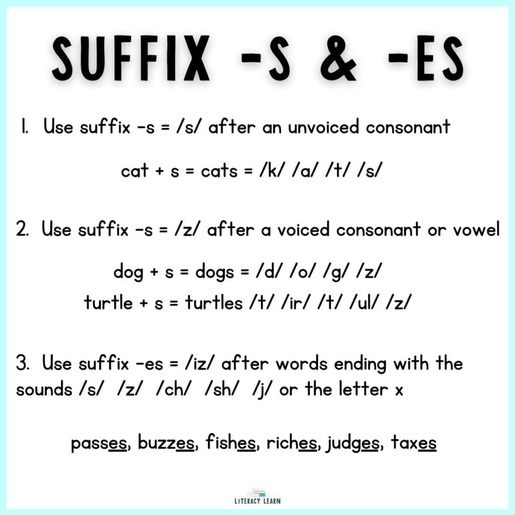 All About Suffix -S and -ES: Plus Free Worksheet! - Literacy Learn