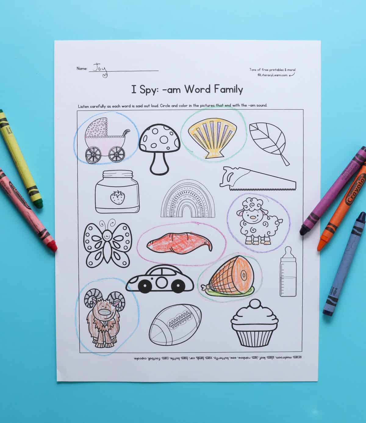 -Am Word Family Worksheets: 7 FREE Printables! - Literacy Learn