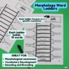Word Chaining for Powerful Morphology Practice - Literacy Learn